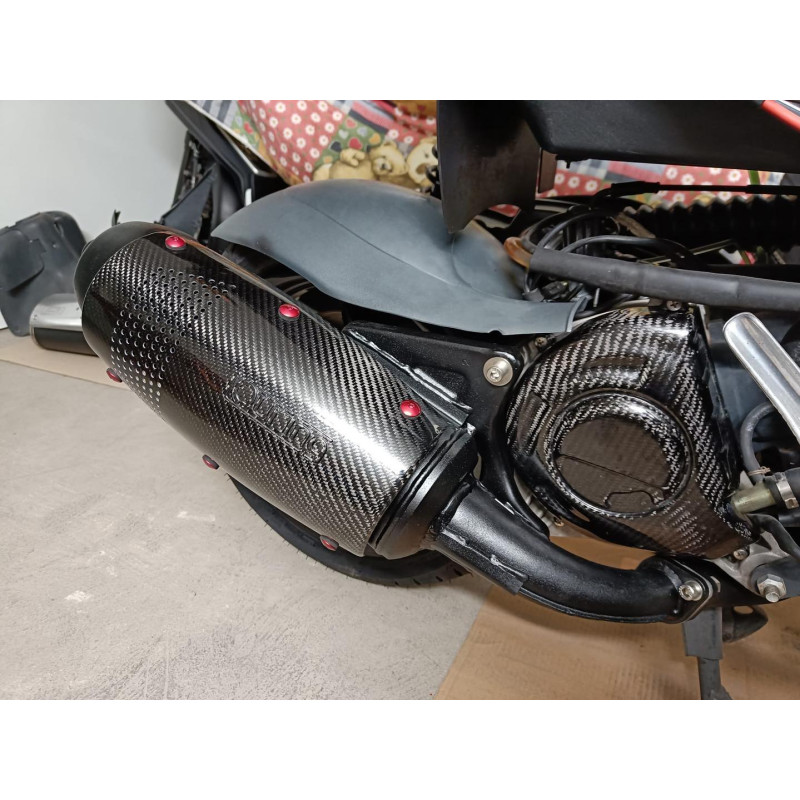 Hitteschild CARBON Leovince Touring - Gilera Runner 180cc